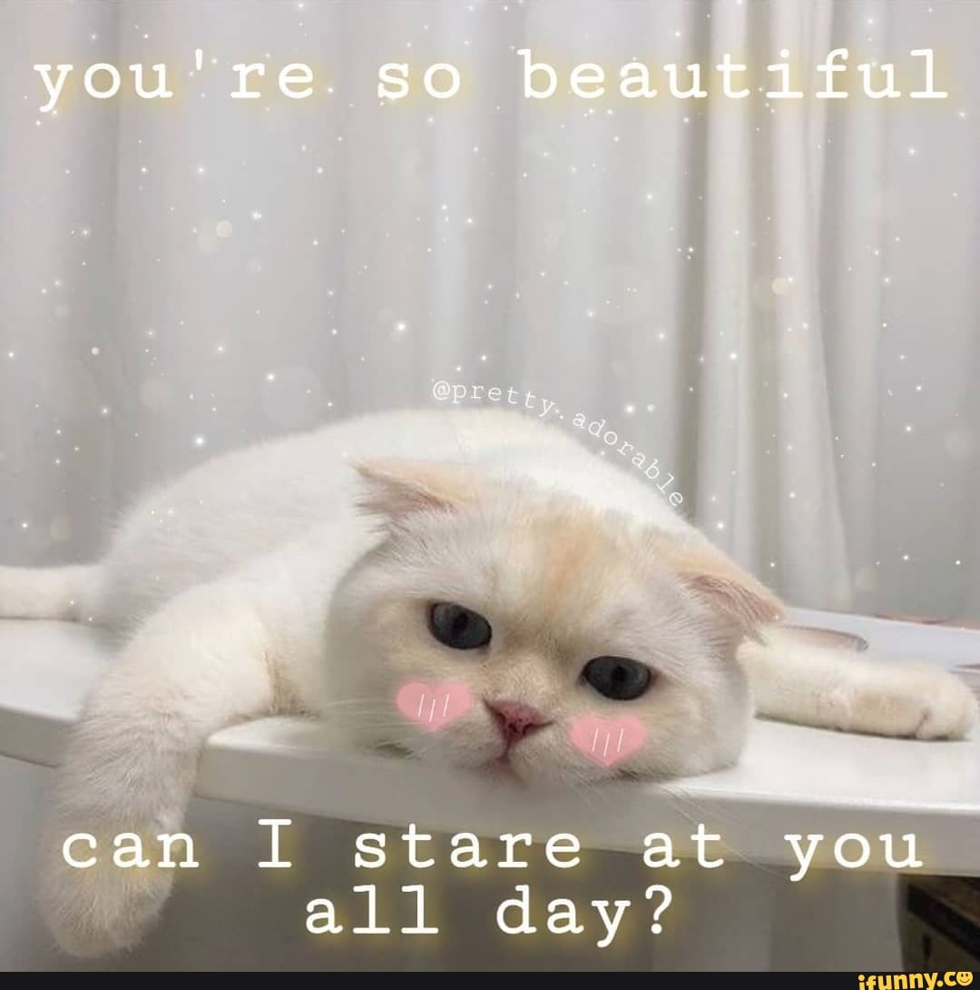 I stare at you all day? - iFunny
