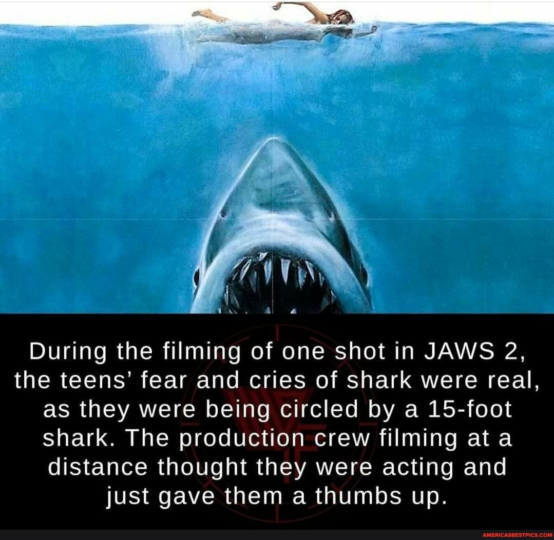During the filming of one shot in JAWS 2, the teens' fear and cries of ...