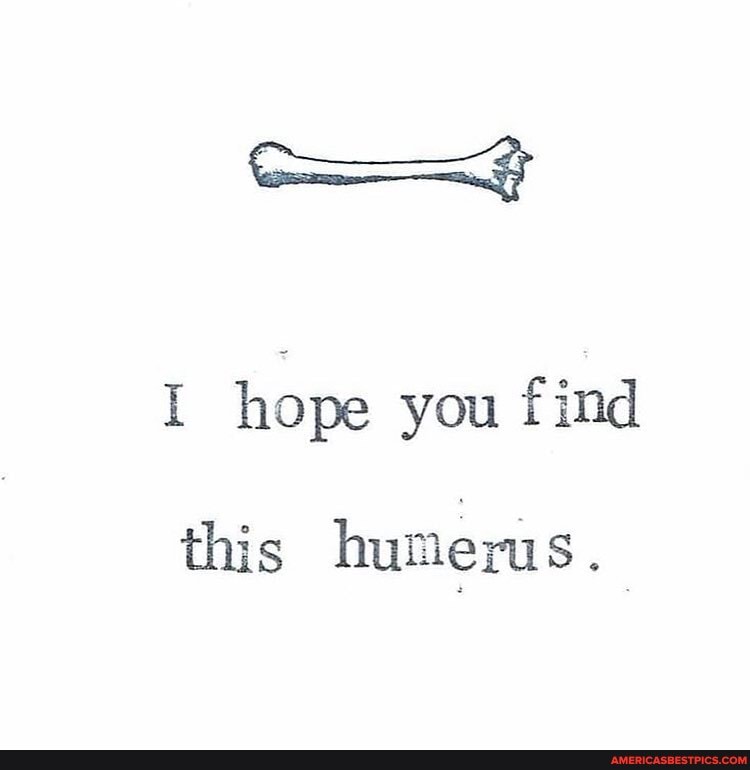 I hope you find this humerus. - America’s best pics and videos