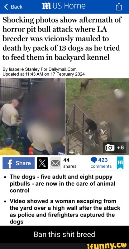 Horror memes. Best Collection of funny Horror pictures on iFunny