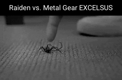 Raiden vs. Metal Gear EXCELSUS - iFunny