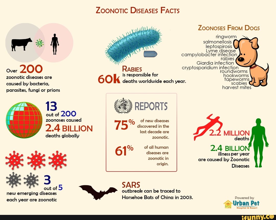 Over 200 Zoonotic diseases are caused by bacteria, parasites, fungi or ...