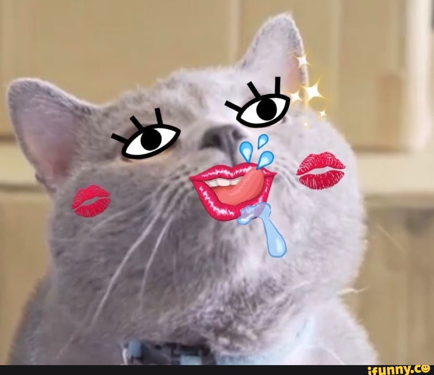 Mlg_dank_dragon memes. Best Collection of funny Mlg_dank_dragon ...