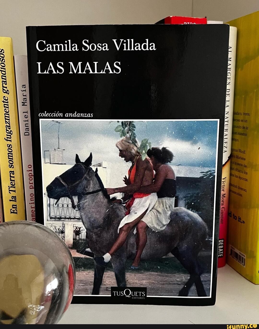 Mis mejores de 2022 - Camila Sosa Villada LAS MALAS Daniel Maria Maria ...