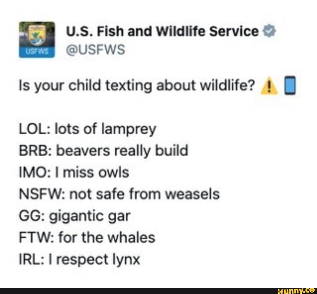 Lamprey memes. Best Collection of funny Lamprey pictures on iFunny