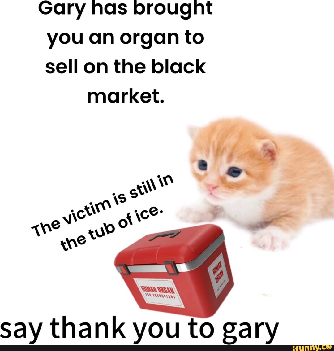 Gary has brought you an organ to sell on the black market. \ce: we ewe say thank you to gary ...
