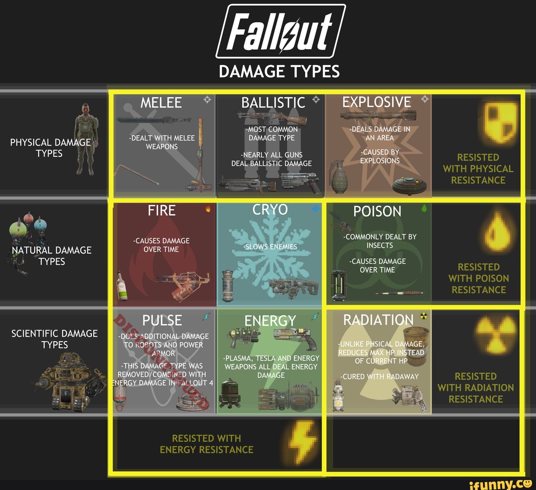Damage types - PHYSICAL DAMAGE TYPES NATURAL DAMAGE TYPES SCIENTIFIC ...