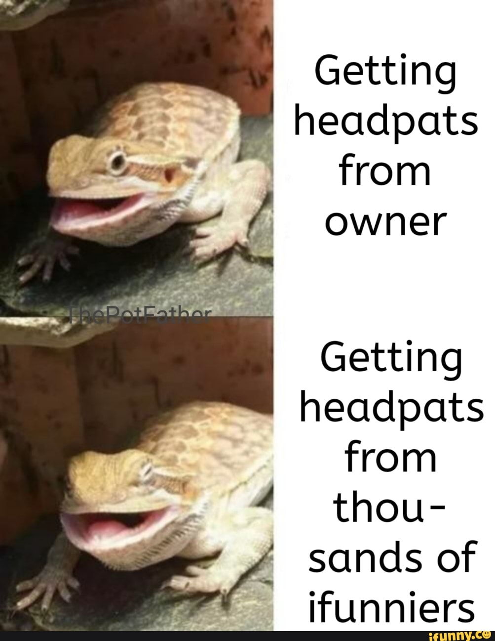 Headpats memes. Best Collection of funny Headpats pictures on iFunny
