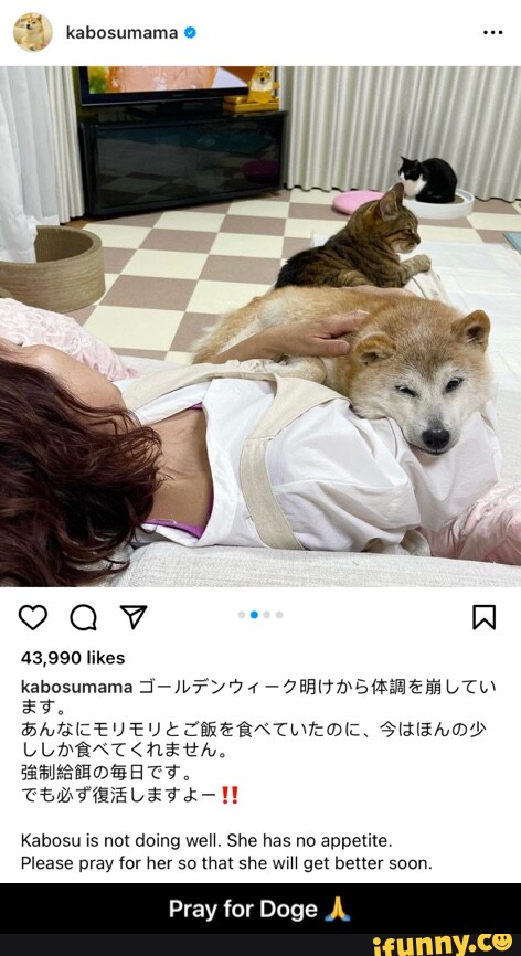 Kabosumama 43,990 likes kabosumama )LFY -7 ORME ML TU ...