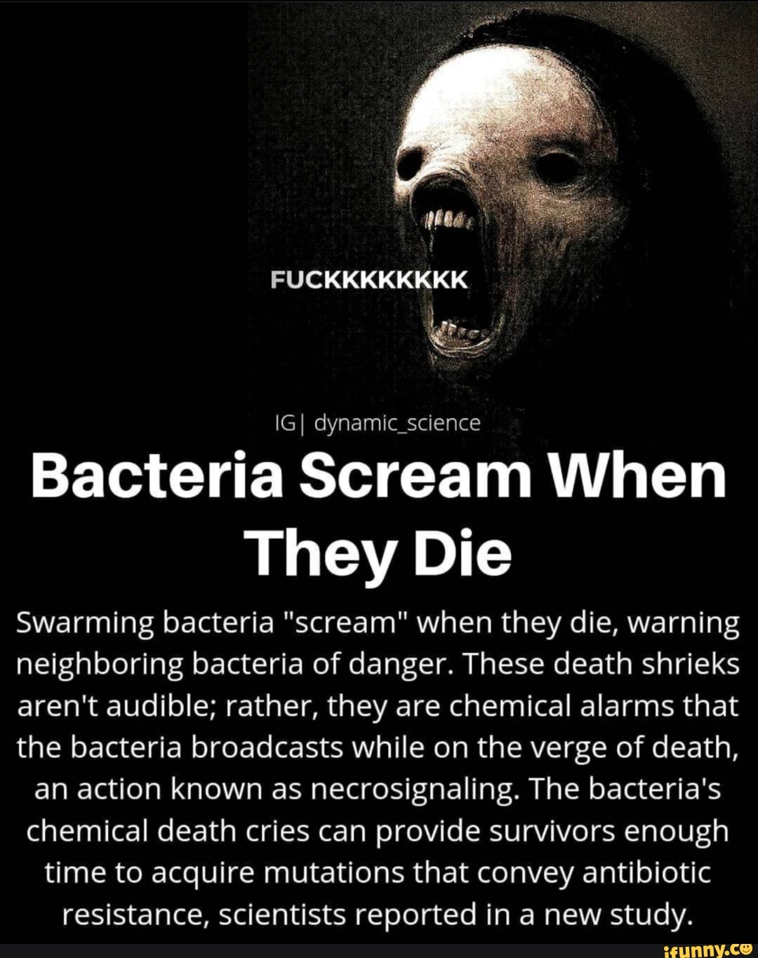 FUCKKKKKKKK IGI dynamic_science Bacteria Scream When They Die Swarming ...
