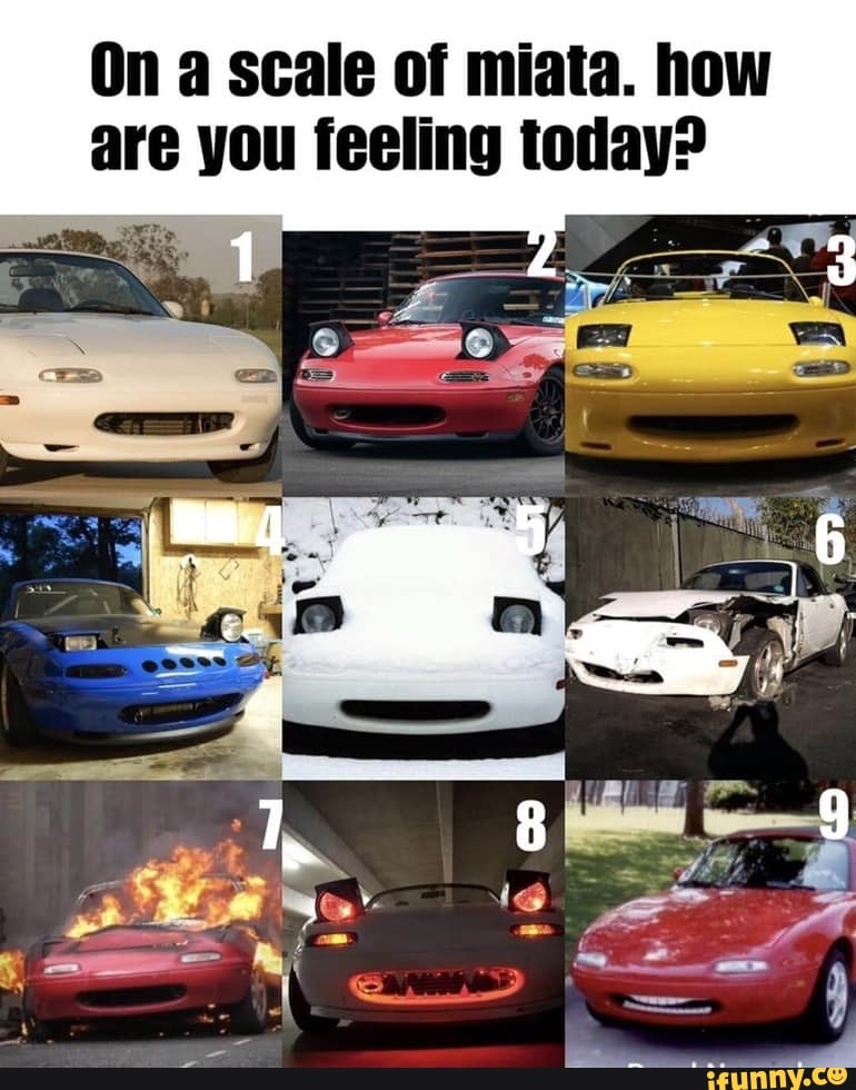 On a scale of miata. how are you feeling today? - iFunny