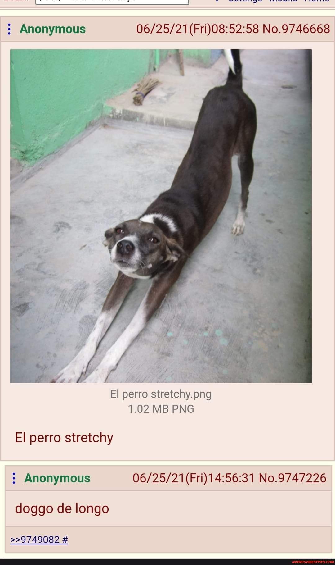 Anonymous No.9746668 El perro stretchy.png 1.02 MB PNG Anonymous No ...