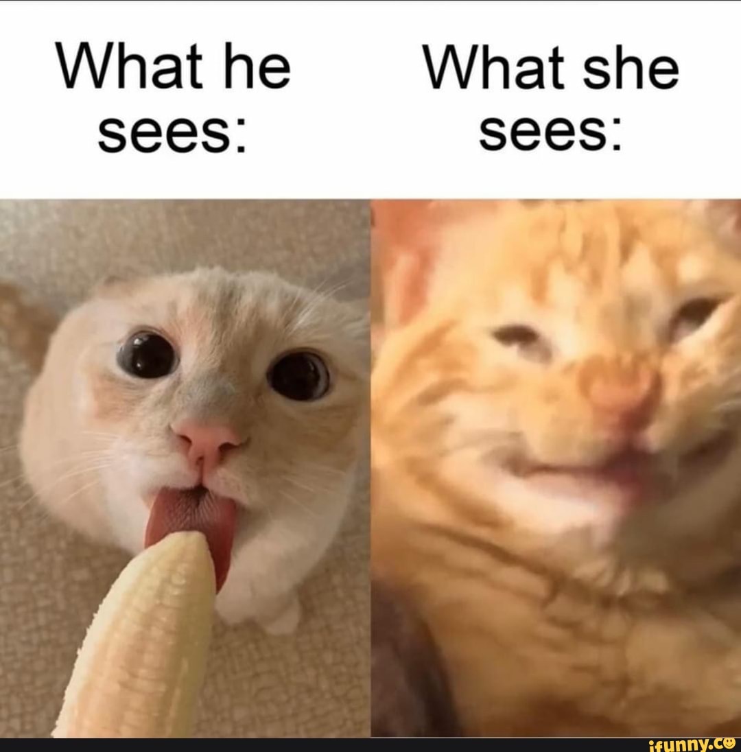 What He What She Sees Sees IFunny What He What She Sees Sees IFunny