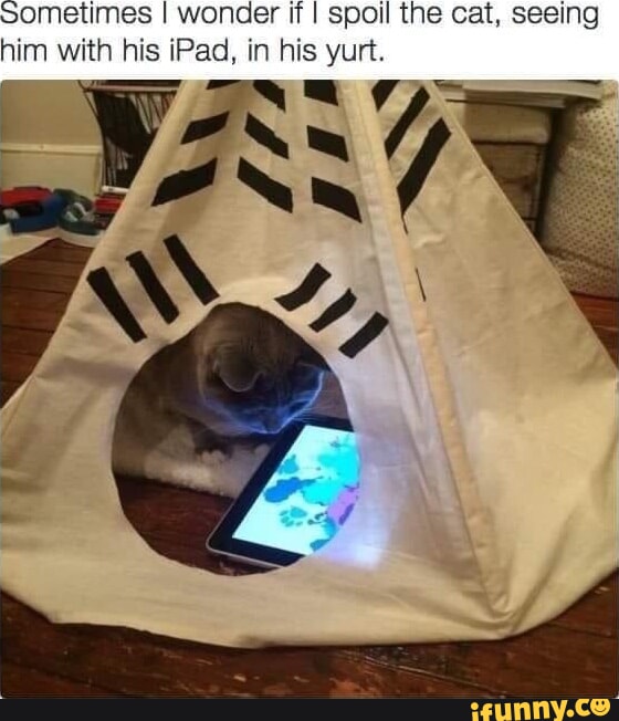 Yurt memes. Best Collection of funny Yurt pictures on iFunny
