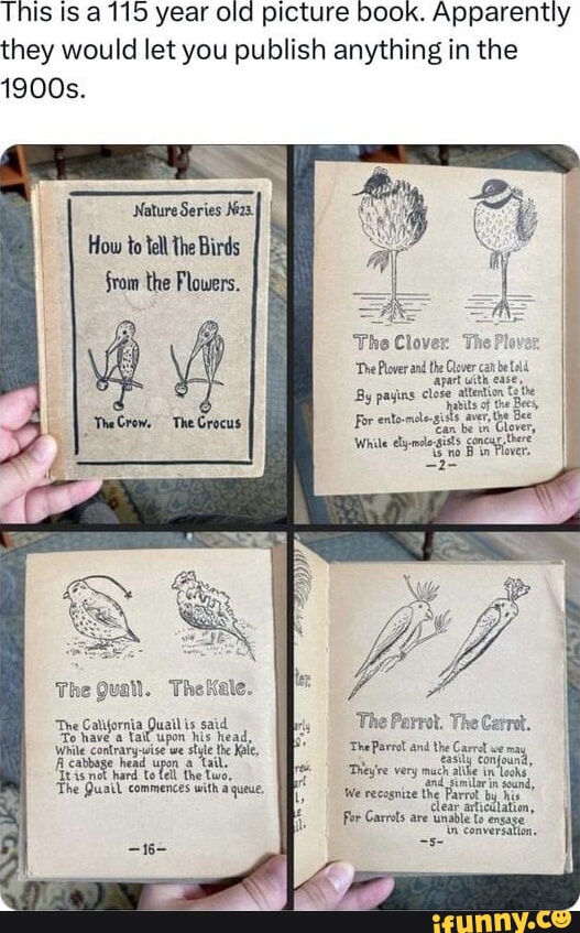 Quail memes. Best Collection of funny Quail pictures on iFunny