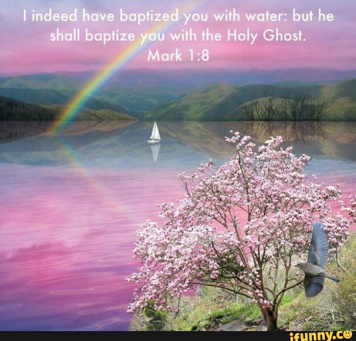 Thall memes. Best Collection of funny Thall pictures on iFunny