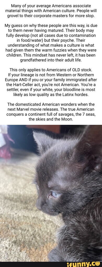 Grovel memes. Best Collection of funny Grovel pictures on iFunny