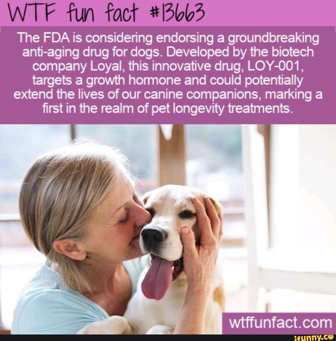 Biotech memes. Best Collection of funny Biotech pictures on iFunny