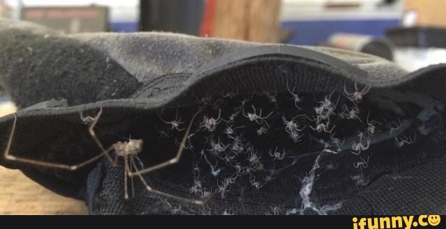 Cursed_sock memes. Best Collection of funny Cursed_sock pictures on iFunny