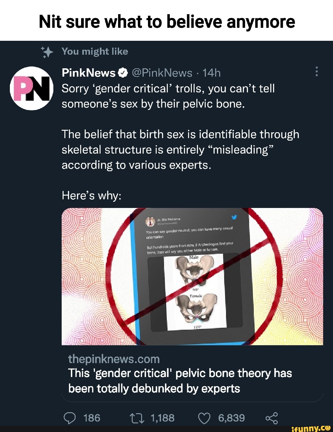 Pelvic memes. Best Collection of funny Pelvic pictures on iFunny