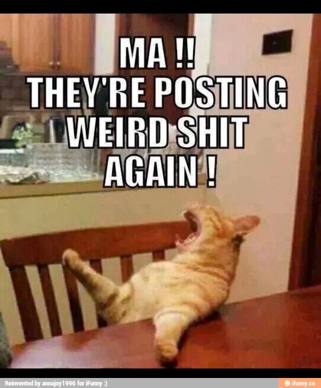 Moomm memes. Best Collection of funny Moomm pictures on iFunny