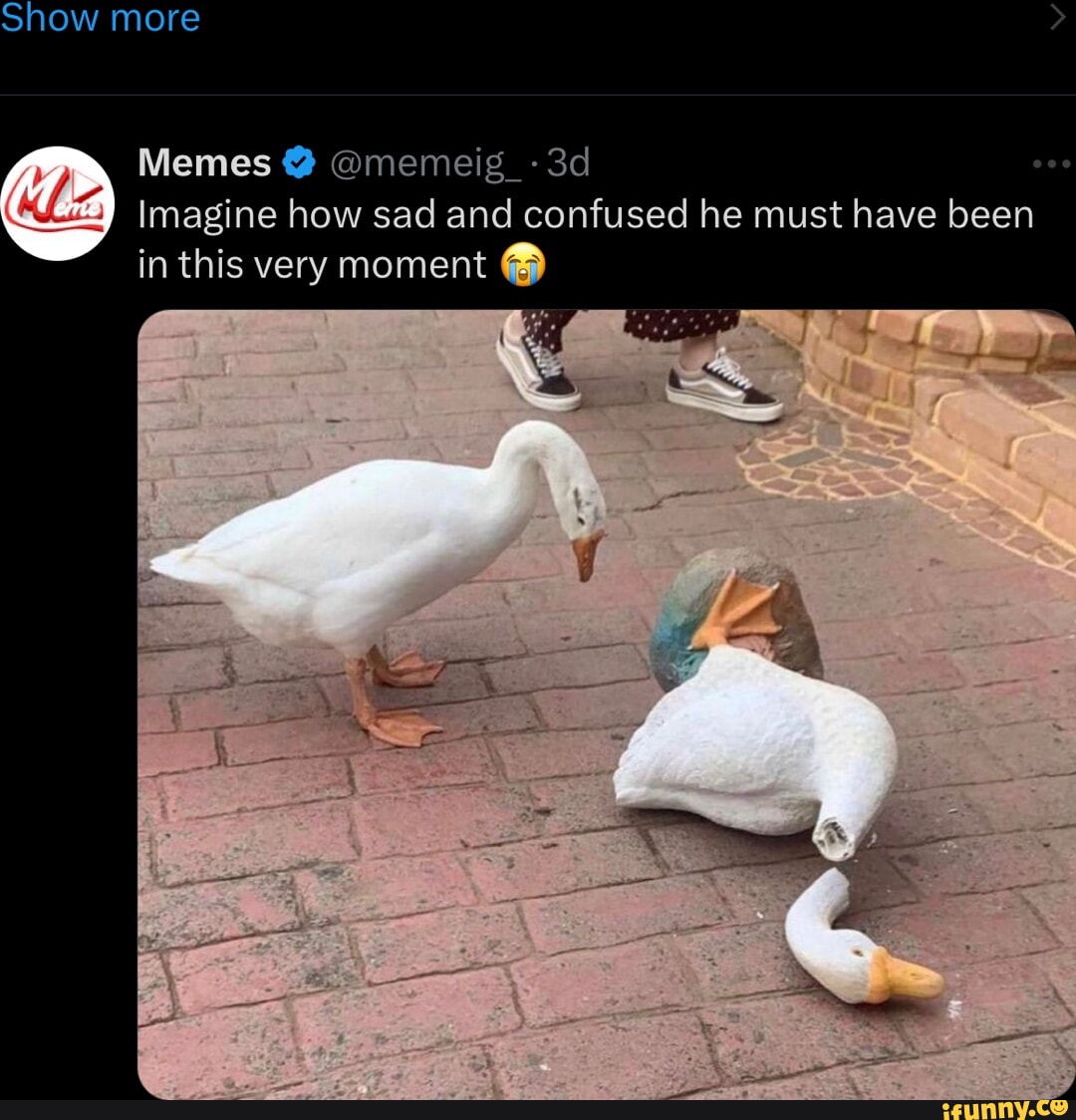 Show more Memes @ @memeig_- Imagine how sad and confused he must have ...