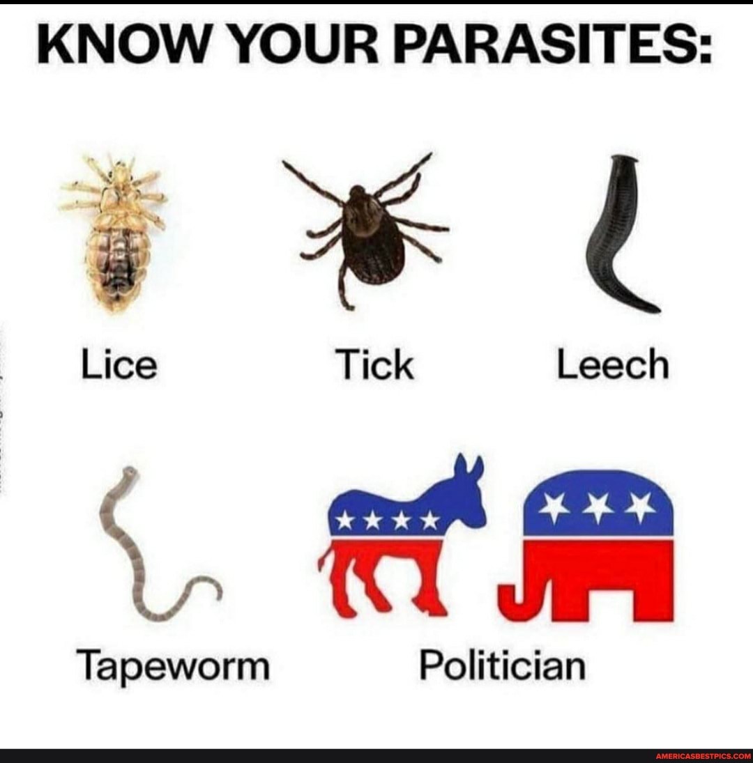 KNOW YOUR PARASITES: Lice Tick Leech Tapeworm Politician - America’s ...