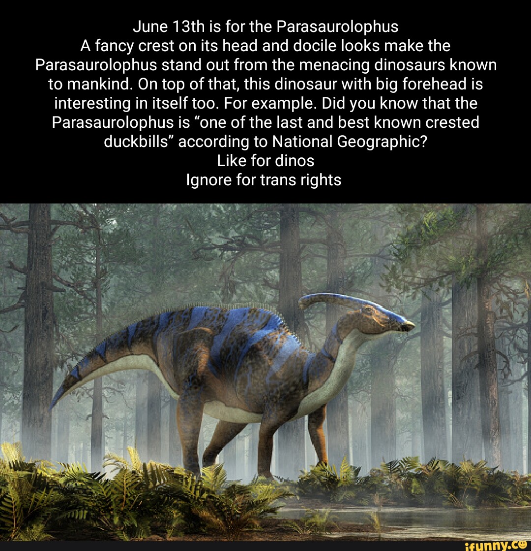 Parasaurolophus memes. Best Collection of funny Parasaurolophus ...