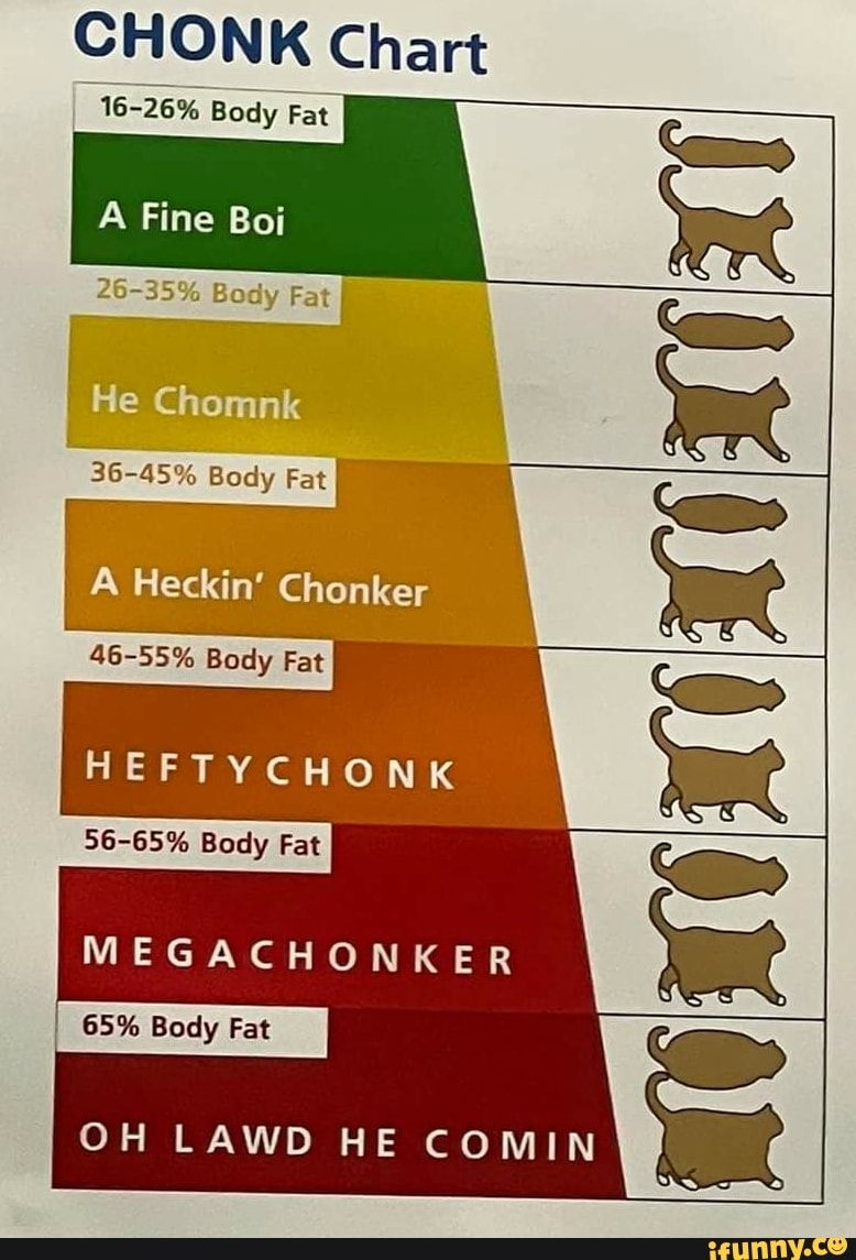 CHONK Chart 16-26% Body Fat I A Fine Boi 26-35% ody Fat I He Chomnk 36 ...