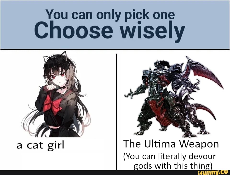 You can only pick one Choose wisely The Ultima Weapon (You can ...