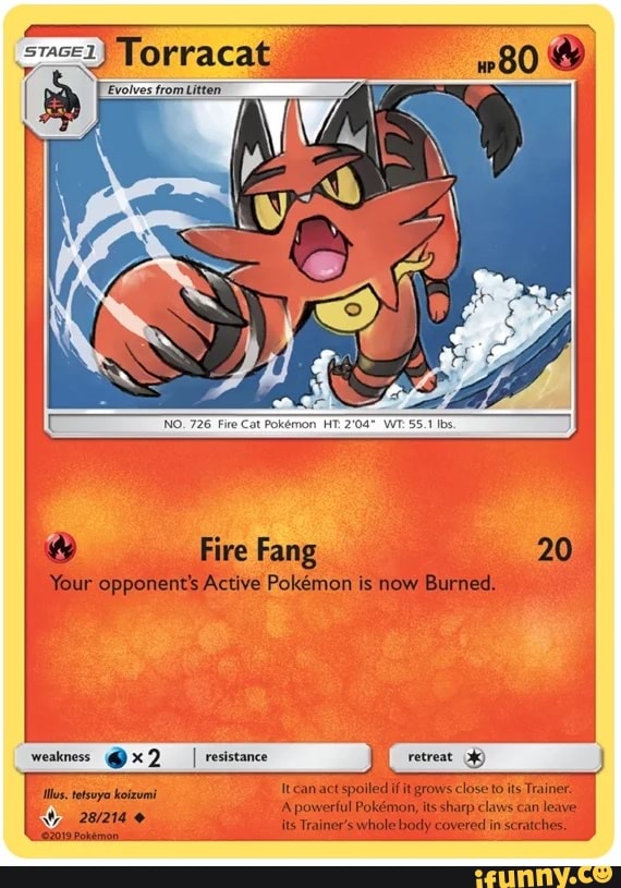 Torracat memes. Best Collection of funny Torracat pictures on iFunny