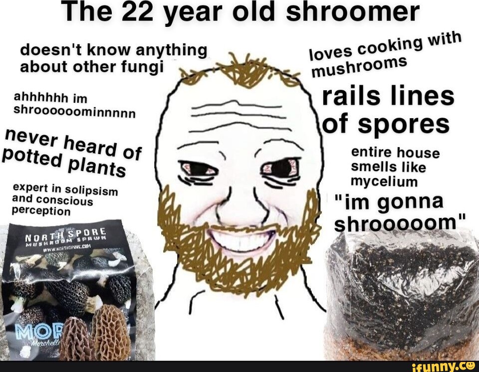 Shroomer memes. Best Collection of funny Shroomer pictures on iFunny
