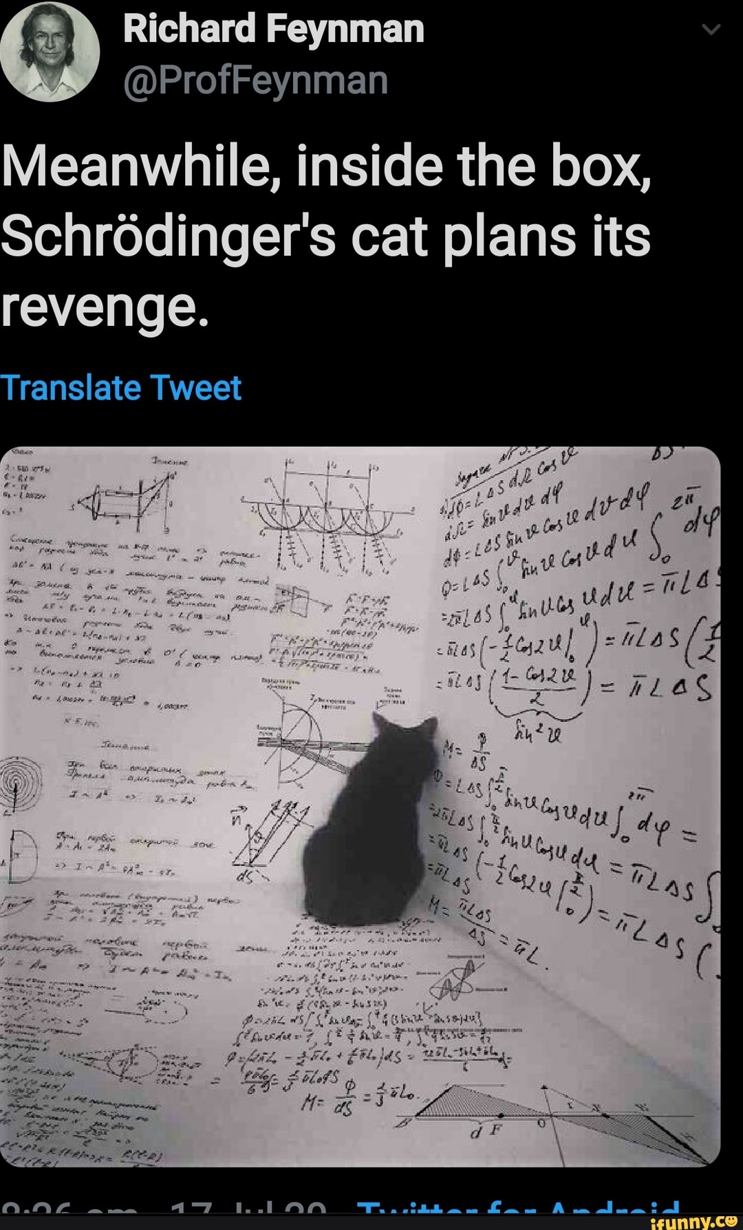 Meanwhile, inside the box, Schrodinger's cat plans its revenge ...