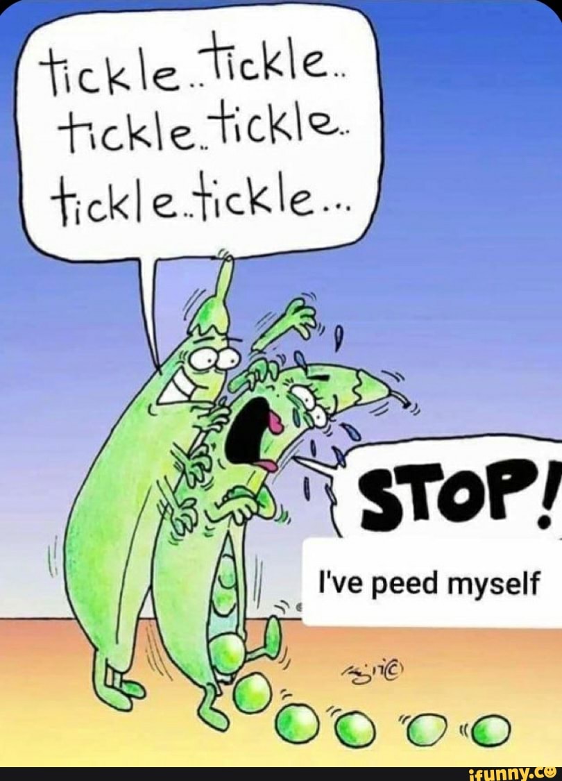 Tickle ctickle.. tickle tickle. tickI e tickle - iFunny