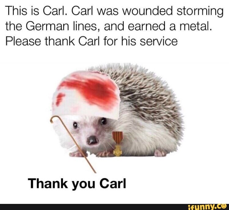 This is Carl. Carl was wounded storming the German lines, and earned a ...