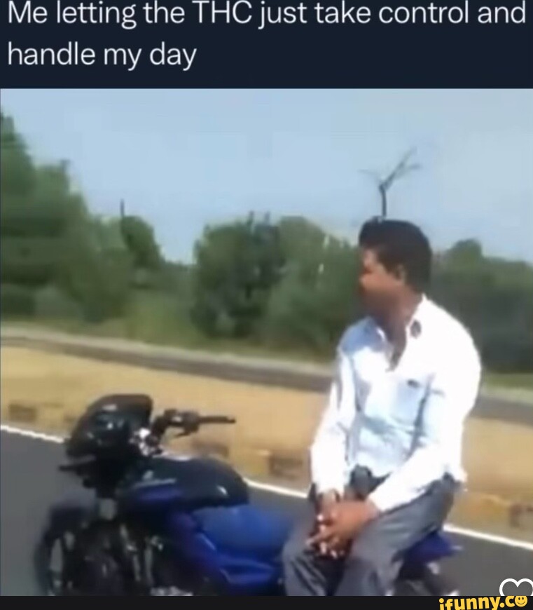 Me letting the THC just take control ana handle my day - iFunny