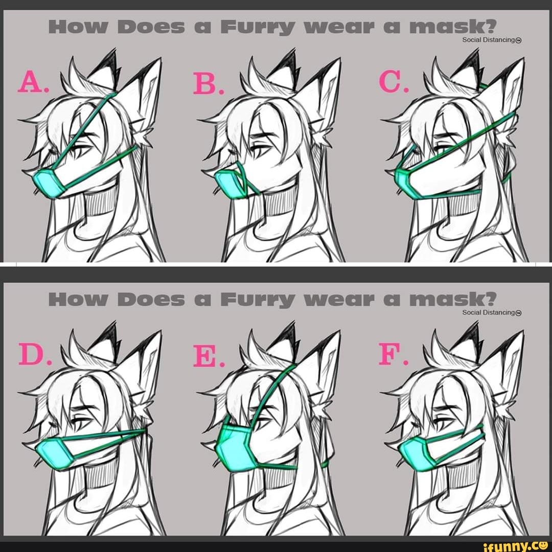 How Does a Furry wear a mask? - iFunny