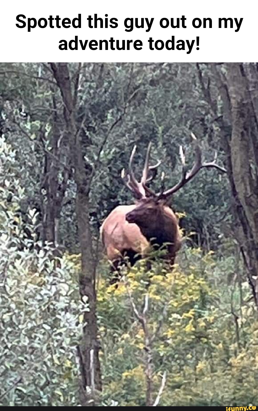 Shell shocked soldier in a trench during the Battle of Flers ...