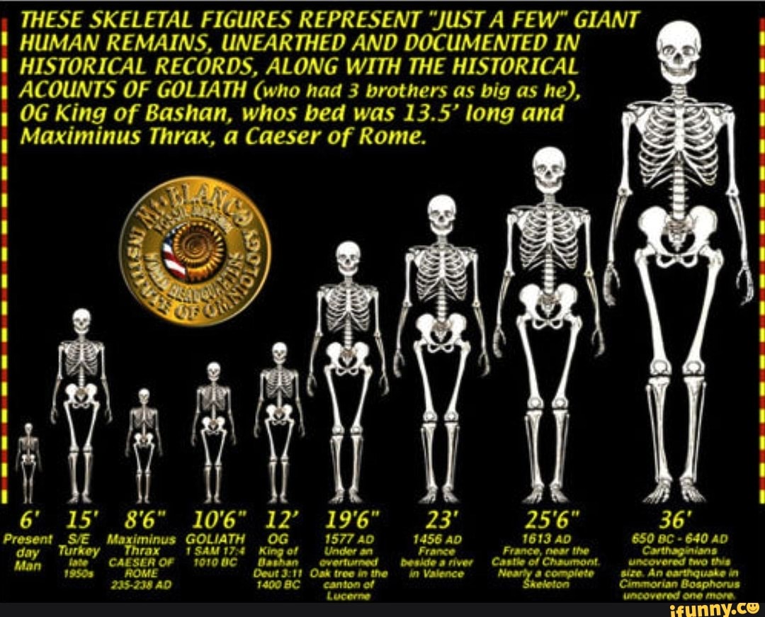 THESE SKELETAL FIGURES REPRESENT "JUST A FEW" GIANT HUMAN REMAINS ...