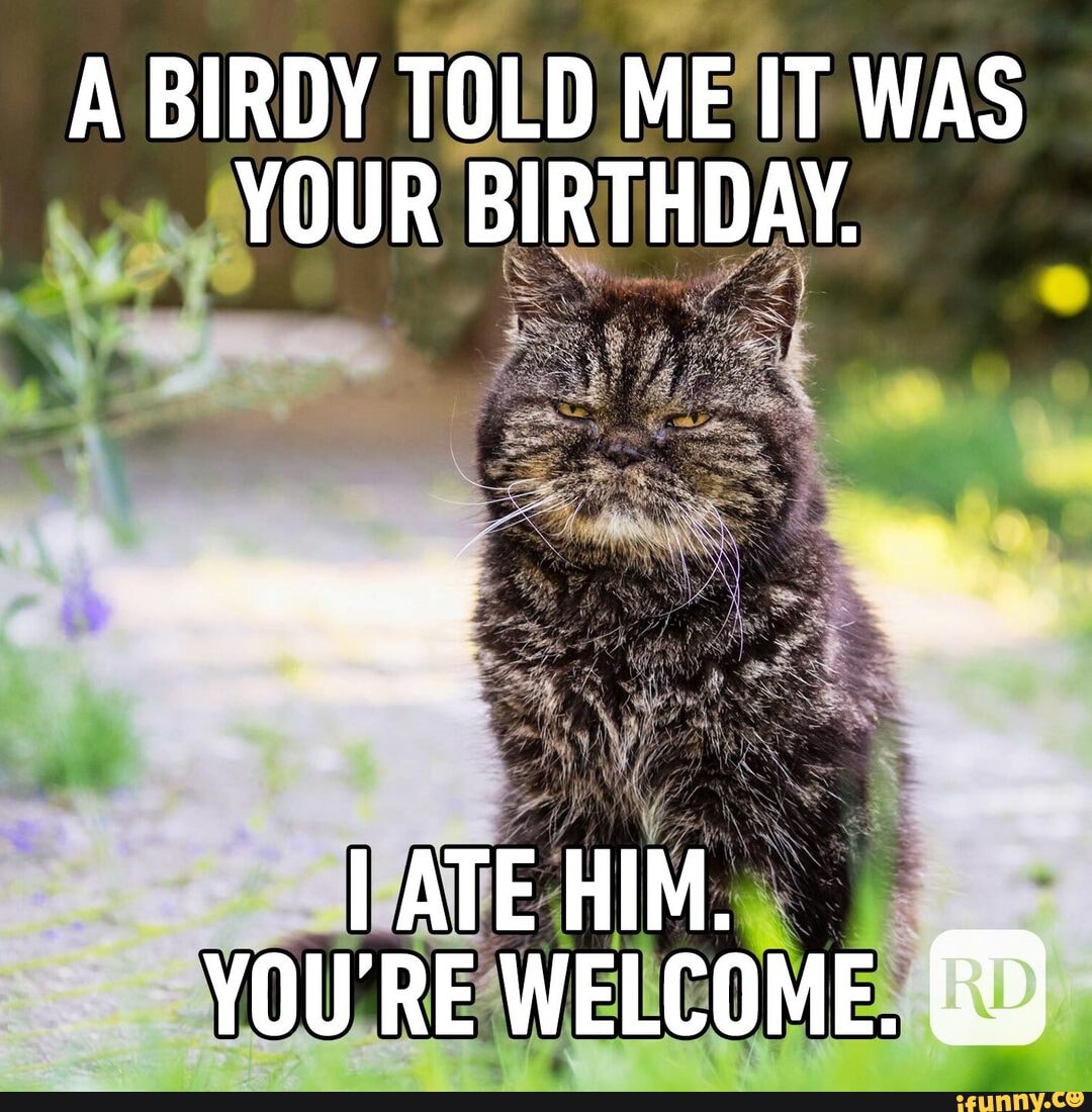 A BIRDY TOLD ME IT WAS YOUR BIRTHDAY. I ATE HIM. YOU'RE WELCOME. - iFunny
