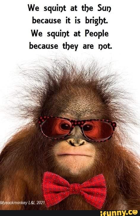 We squint at the Sun because it is bright. We squint at People because ...