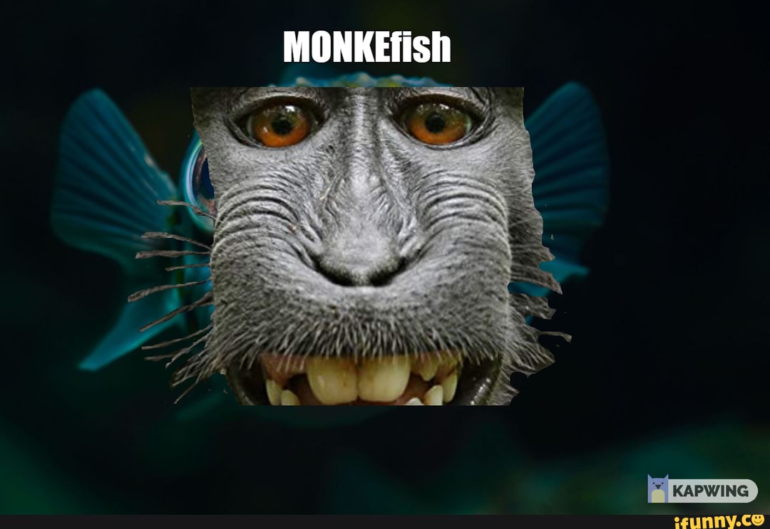 Dogfish memes. Best Collection of funny Dogfish pictures on iFunny