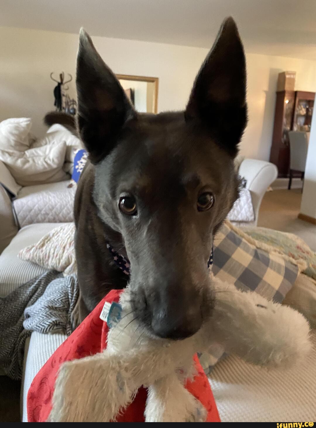 Grooming memes. Best Collection of funny Grooming pictures on iFunny