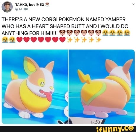 OBS THERE'S A NEW CORGI POKEMON NAMED YAMPER WHO HAS A HEART SHAPED ...
