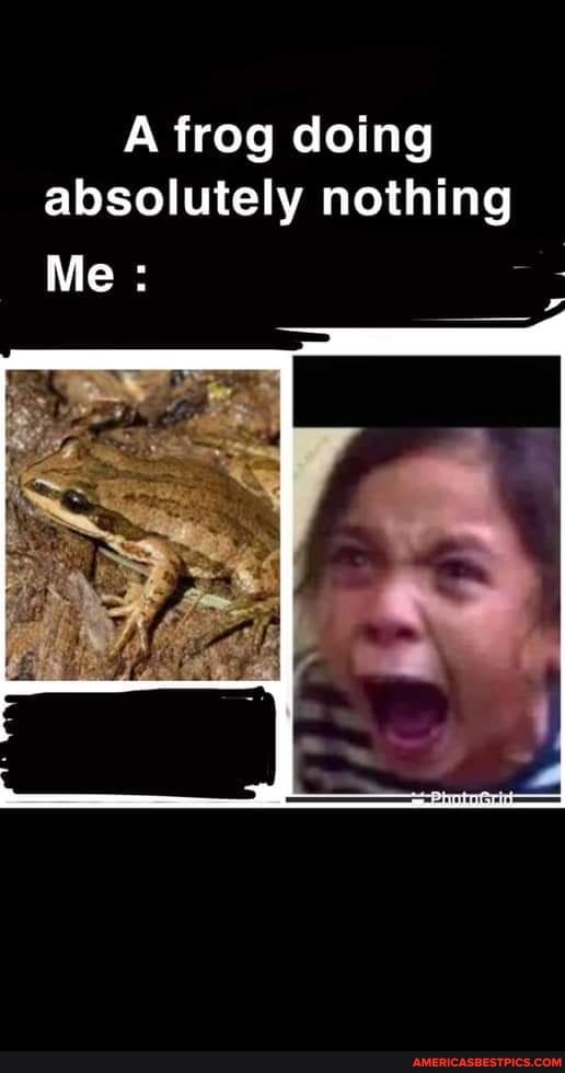 A frog doing absolutely nothing Me: - America’s best pics and videos
