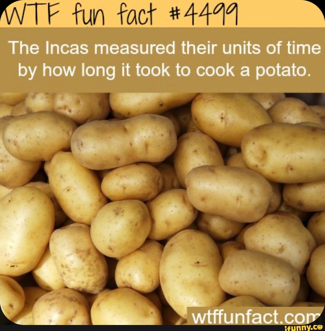 Incas memes. Best Collection of funny Incas pictures on iFunny