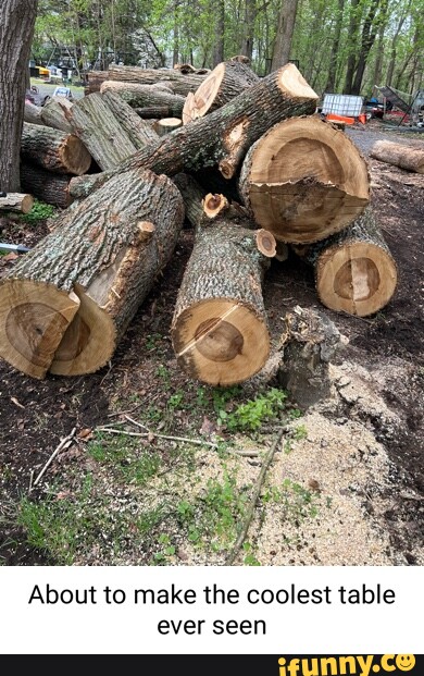 About to make the coolest table ever seen - iFunny