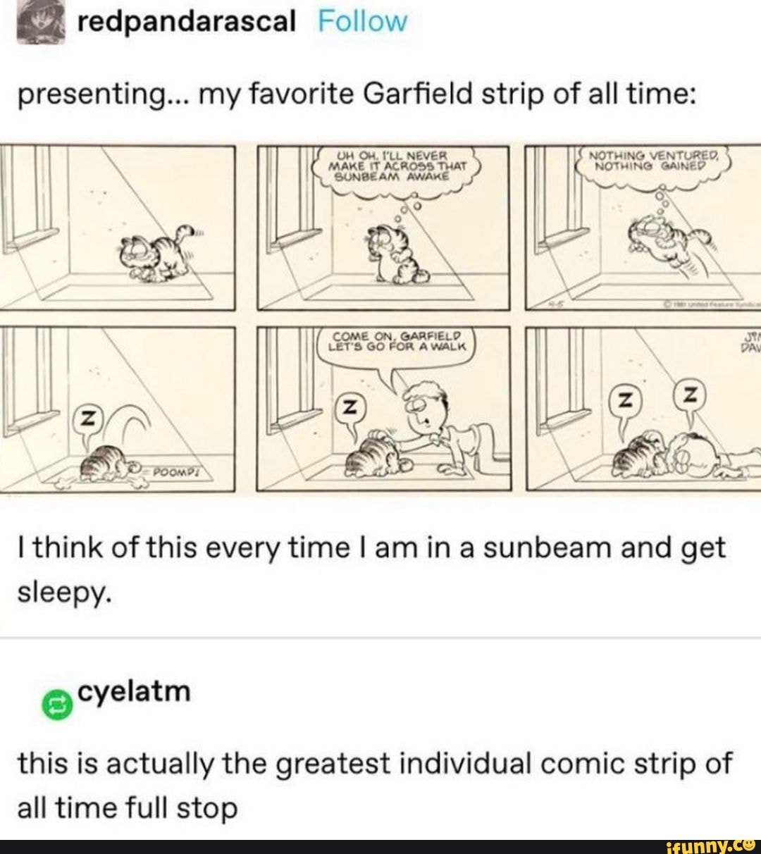 Presenting... my favorite Garfield strip of all time: OH T'LL NEVER ...
