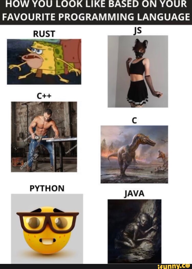 HOW YOU LOOK LIKE BASED ON YOUR FAVOURITE PROGRAMMING LANGUAGE PYTHON Ow - iFunny