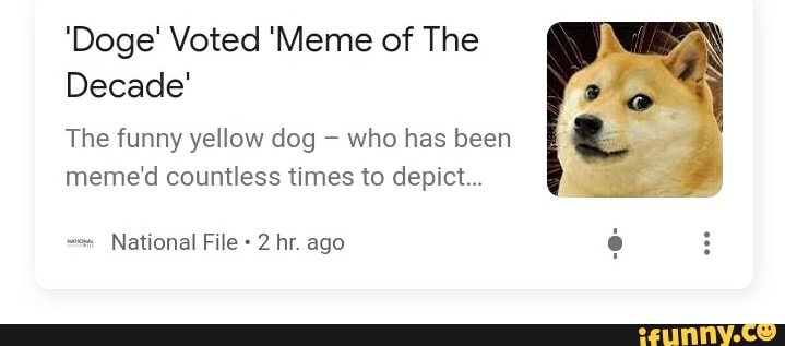 Decade' The funny yellow dog who has been meme'd countless times to ...